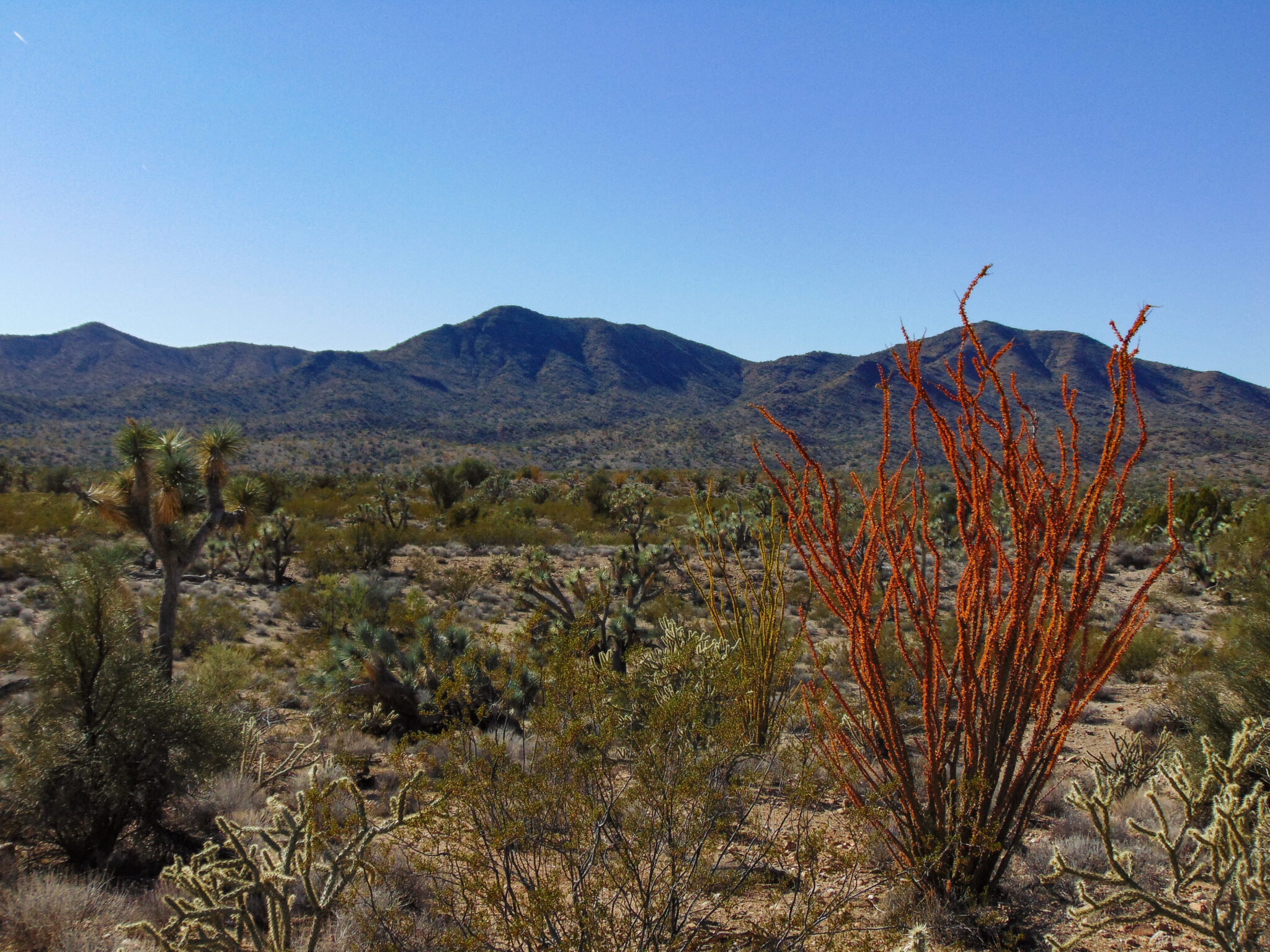 The Arizona state trust land recreation permit – AZBackroads.com