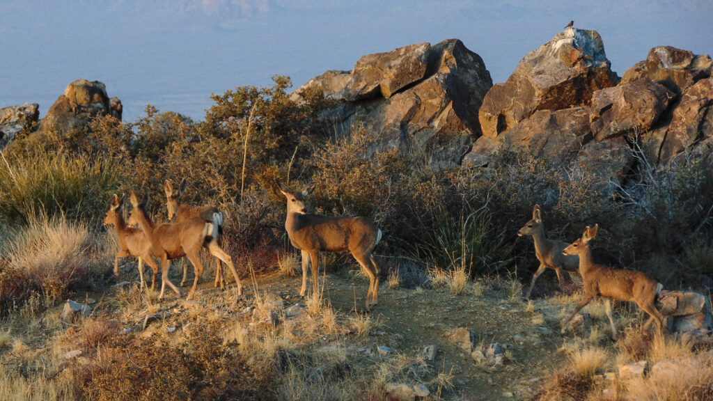 The Great Western Trail | Arizona Route – AZBackroads.com